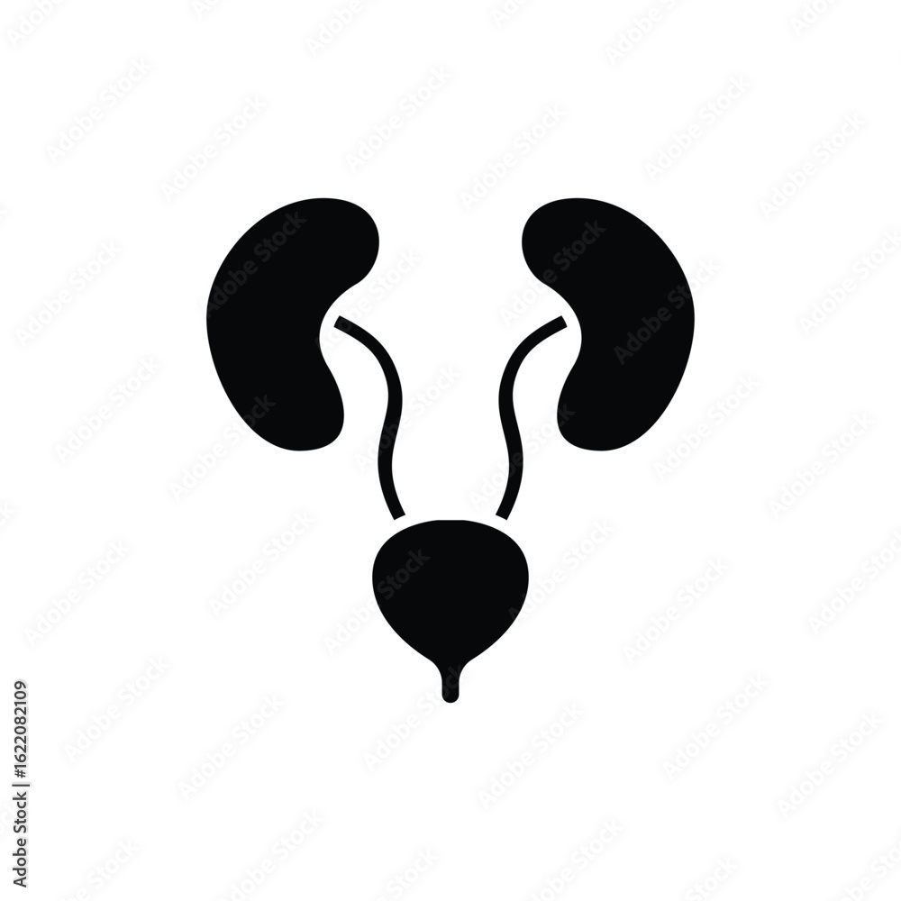 Kidneys and Bladder Glyph Icon, Urinary System Silhouette for Urology ...