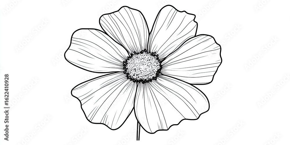 Beautiful cosmos flower tattoo design, vector illustration line art ...