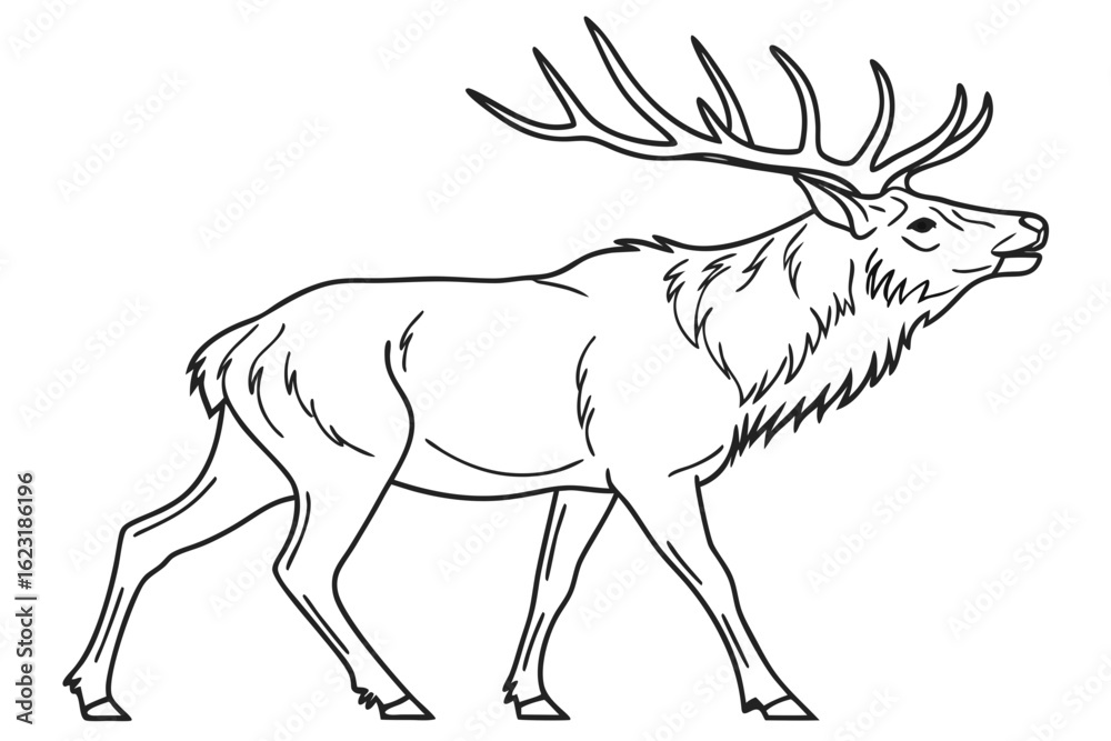 coloring page line art the elk black vector Stock Vector | Adobe Stock