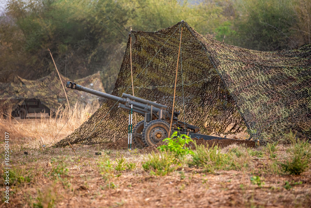 Camouflaged Artillery Position, A hidden artillery gun placed under ...