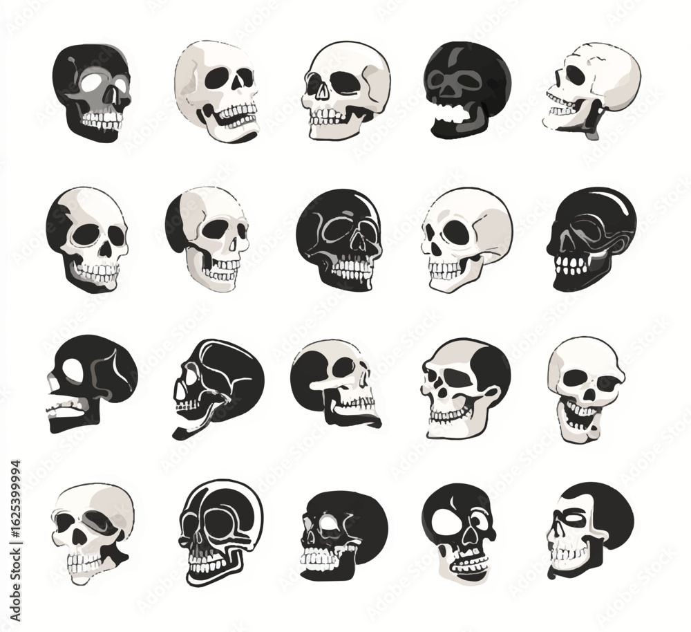 Collection of Stylized Human Skulls in Black and White for Halloween ...