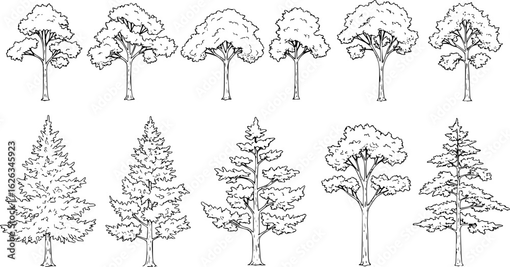 Set of coniferous and deciduous trees for architecture and landscape ...