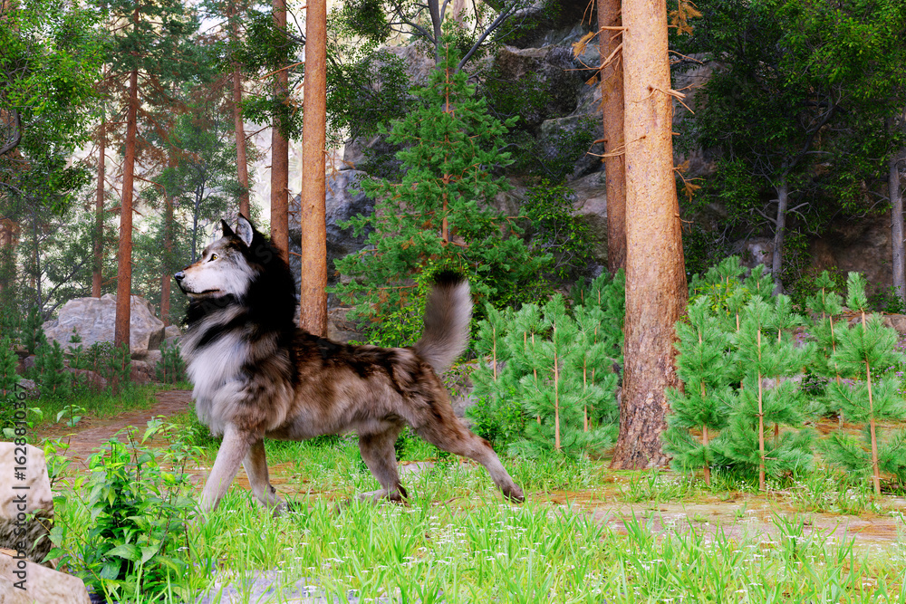 Stock-Illustration „Dire Wolf Pack Leader - The carnivorous Dire Wolf ...