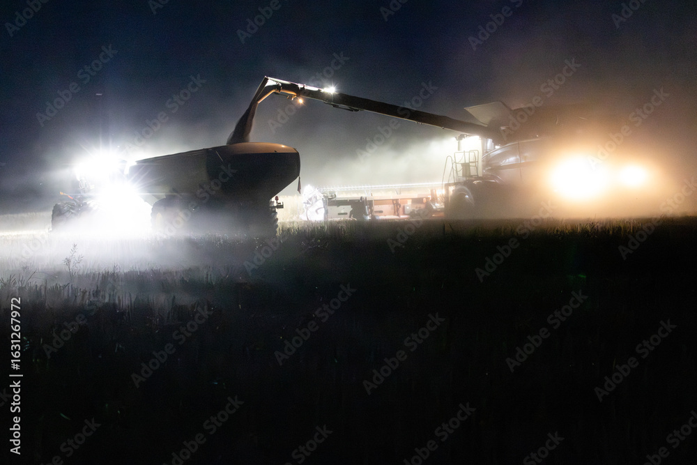 Combine harvester emptying canola into a chaser bin on farm at night ...