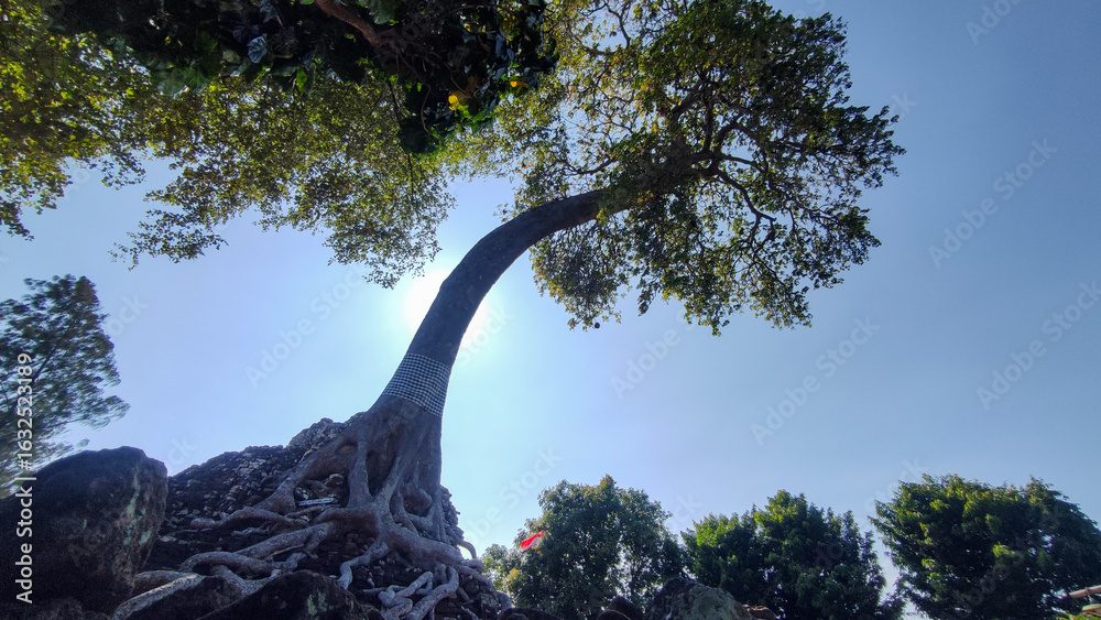 Panorama of ancient stone doors and tree roots in Nganjuk, Indonesia ...