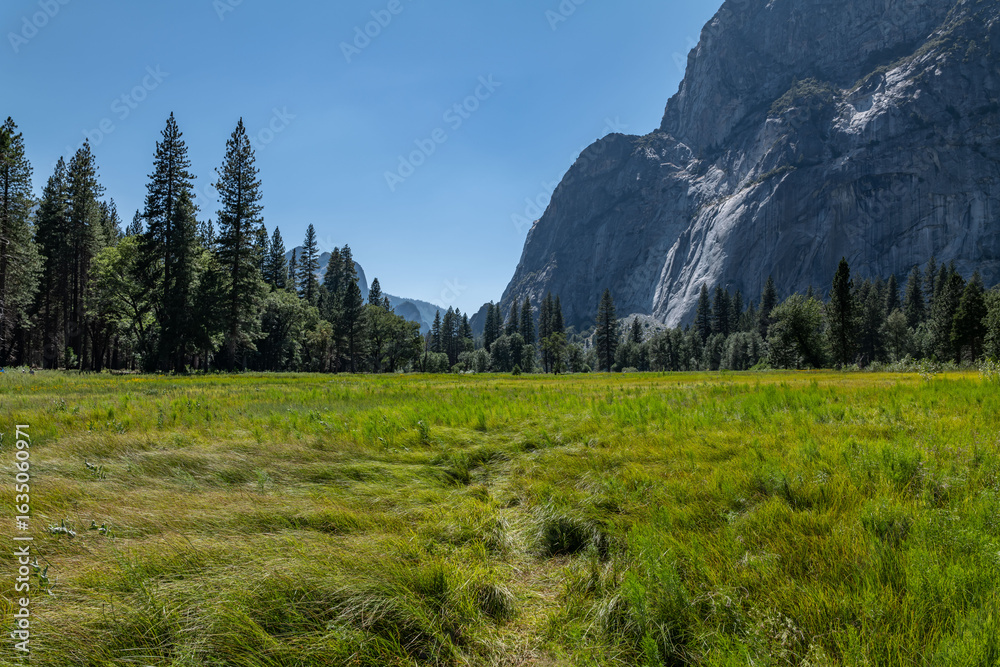 Yosemite National Park, Mariposa County, California. Sierra Nevada ...