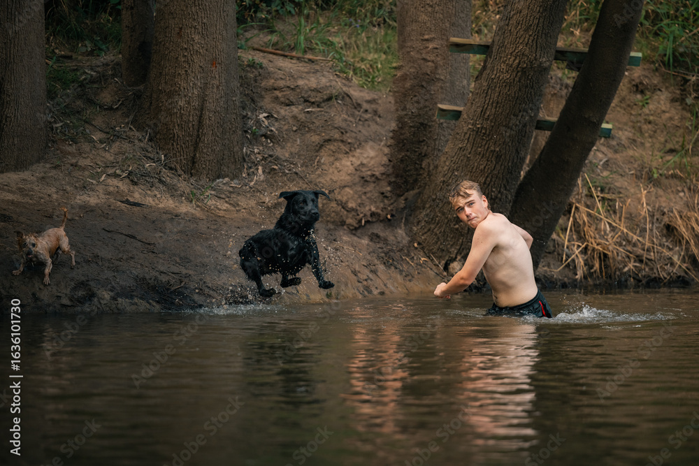 Teen throwing ball across river as black labrador jumps in water to ...