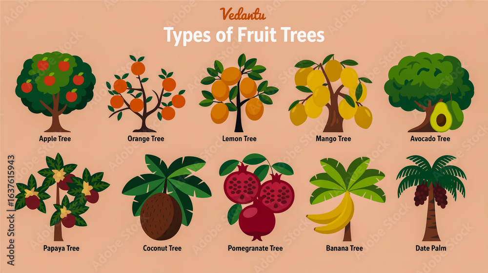 Illustrated Chart of Various Types of Fruit Trees with Labels apple ...