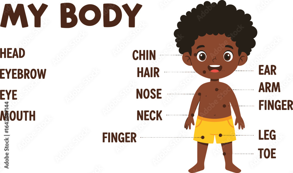 Stock-Vektorgrafik „My body parts chart for kids, educational anatomy ...