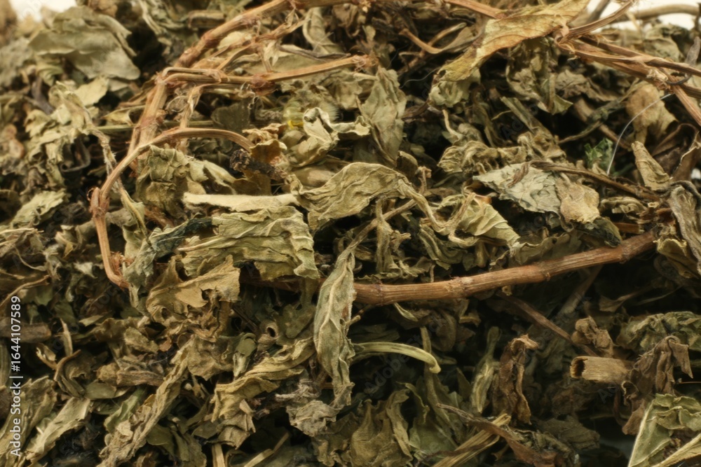 Close-up of dried Mentha canadensis (Bak-ha), used in traditional ...