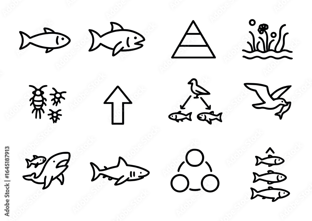 Ocean Food Chain Icons. Outline icon set of ocean food chains: small ...