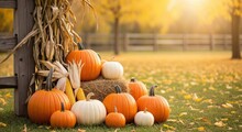 Fall Harvest 5 Free Stock Photo - Public Domain Pictures