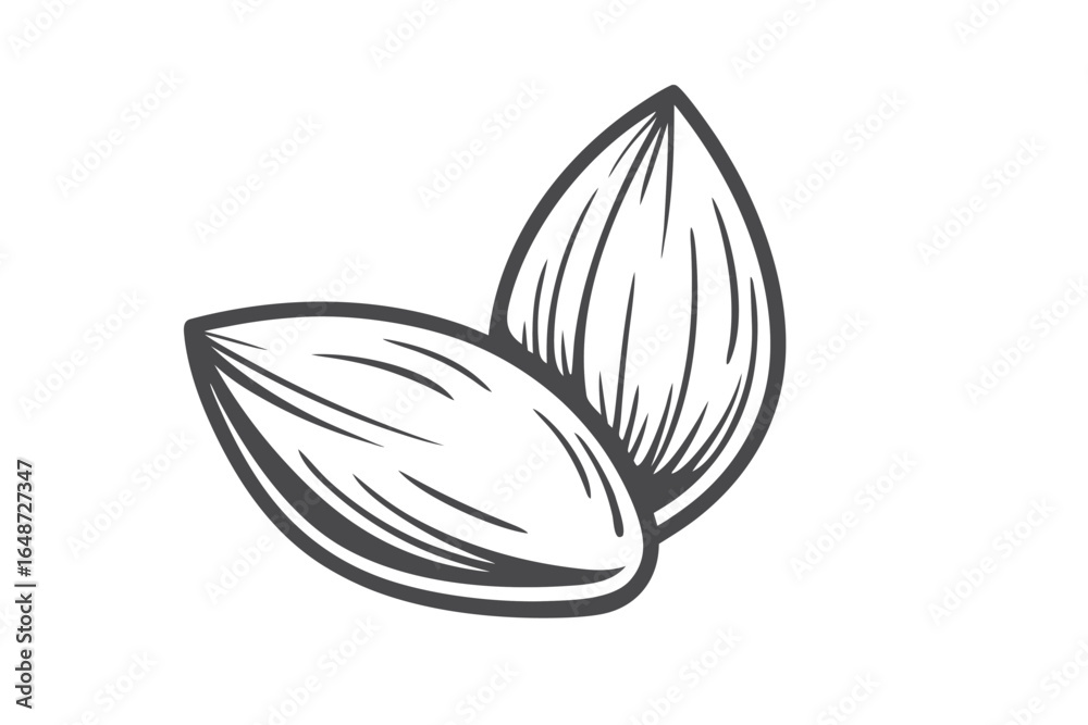 Two Almonds with Striking Lines on White Background, Detailed Nuts ...