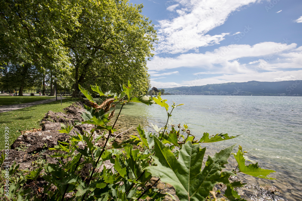 Beautiful Villette Park in Cham, Canton of Zug, on Lake Zug. Stock ...