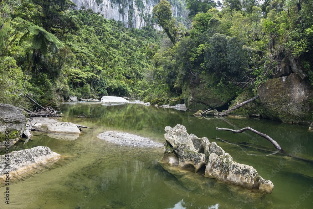 Pororari River, Pororari River Track, Punakaiki, Paparoa National Park ...