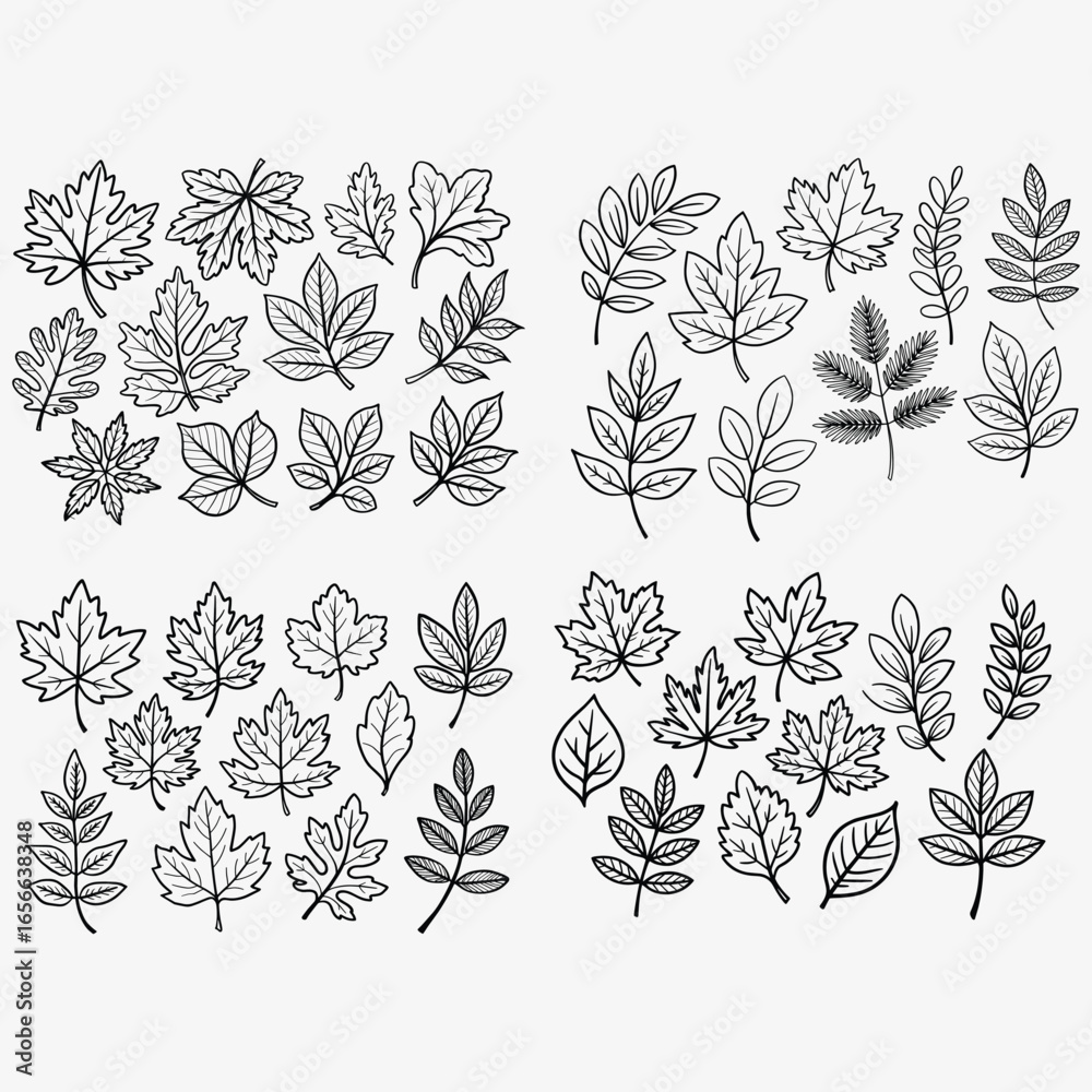 Fall leaves bundle svg, Maple leaf svg, Autumn leaves outline svg ...