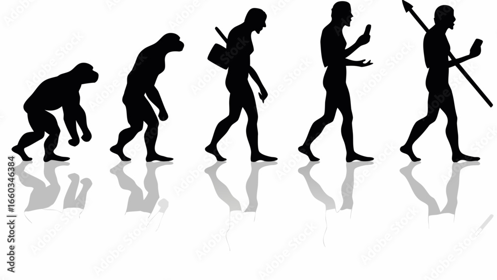 Image vectorielle Stock Silhouette depiction of human evolution stages ...