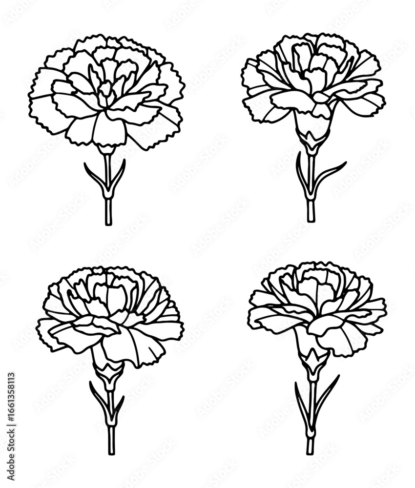 Four carnations with stems are shown in a simple line drawing style ...