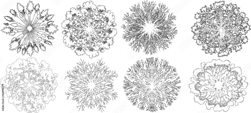 Tree top view line illustrations, treetop for architectural plans ...