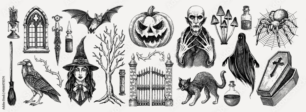 Halloween vector hand-drawn illustrations set. Witch, vampire, monsters ...