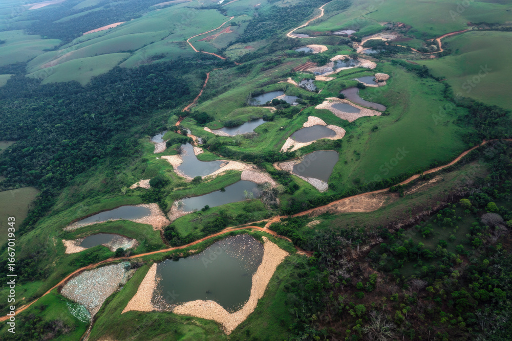 Environmental Destruction: Illegal Gold Mining in the Deforested Amazon ...