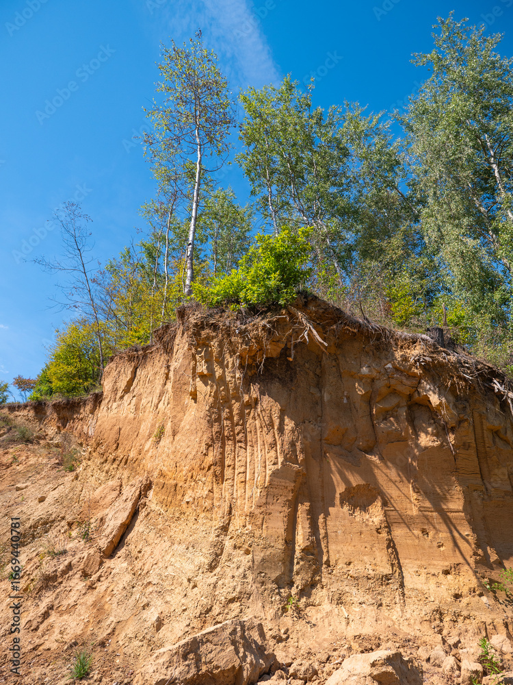 Exposed sandstone cliff with visible soil layers, tree roots, and ...