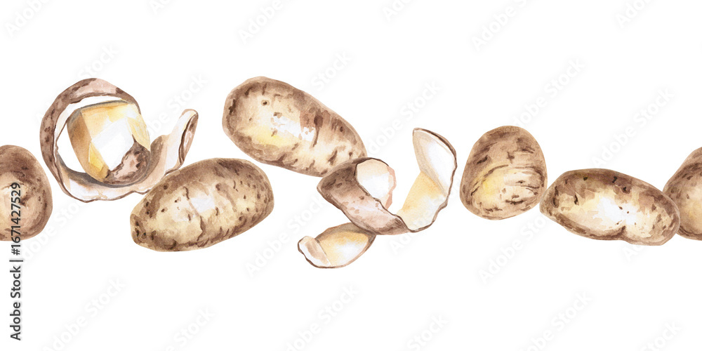Stock-Illustration „Seamless border of whole potatoes and peelings ...