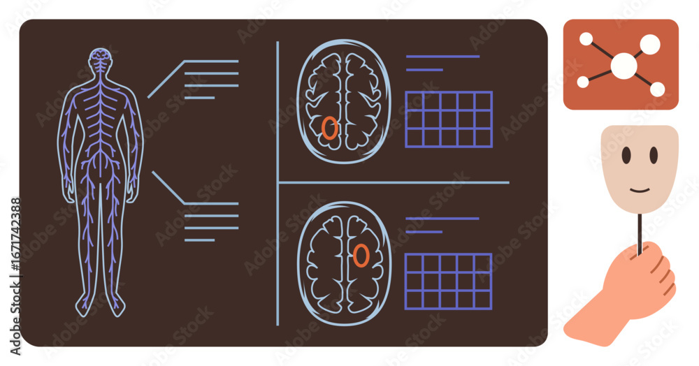 Stockvector Human nervous system diagram with brain scans and ...