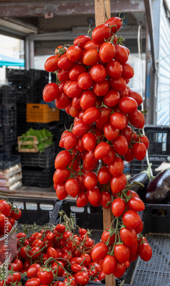 Branches of red italian datterini pomodori tomatoes on food market on ...