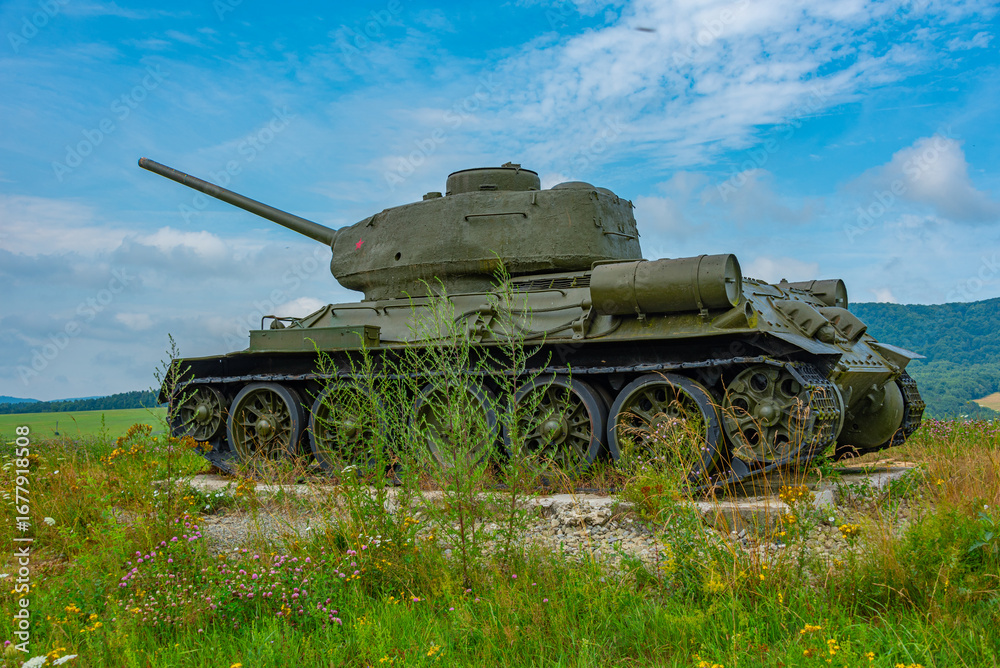 World war II tank at the Death valley in Slovakia Stock Photo | Adobe Stock