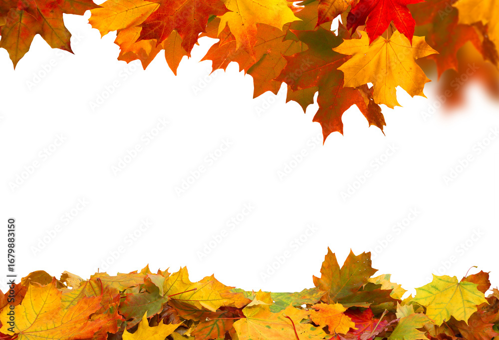 Fall Leaf Border on Transparent Background Stock Photo | Adobe Stock