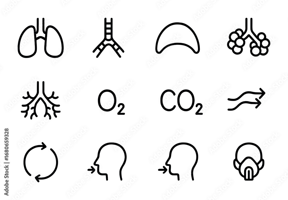 Breathing Science Icons. Outline icon set of The science of breathing ...