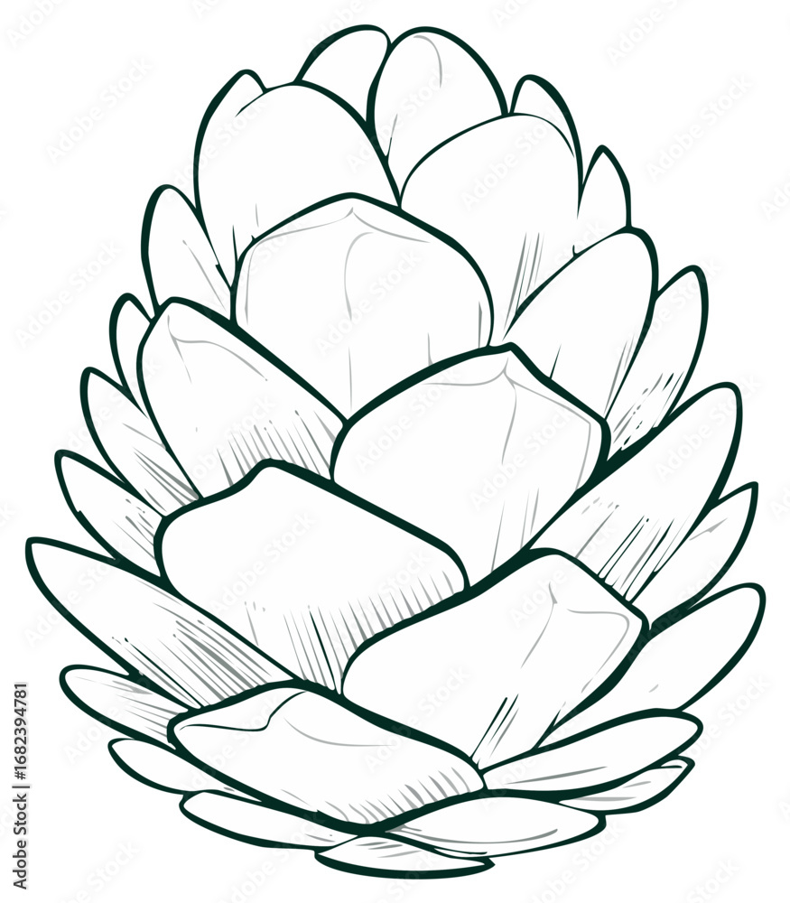 Detailed Line Art of a Pine Cone for Coloring Pages and Educational ...
