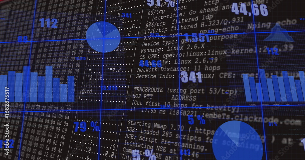 Displaying network scan interface on screen, showing bar and pie charts ...