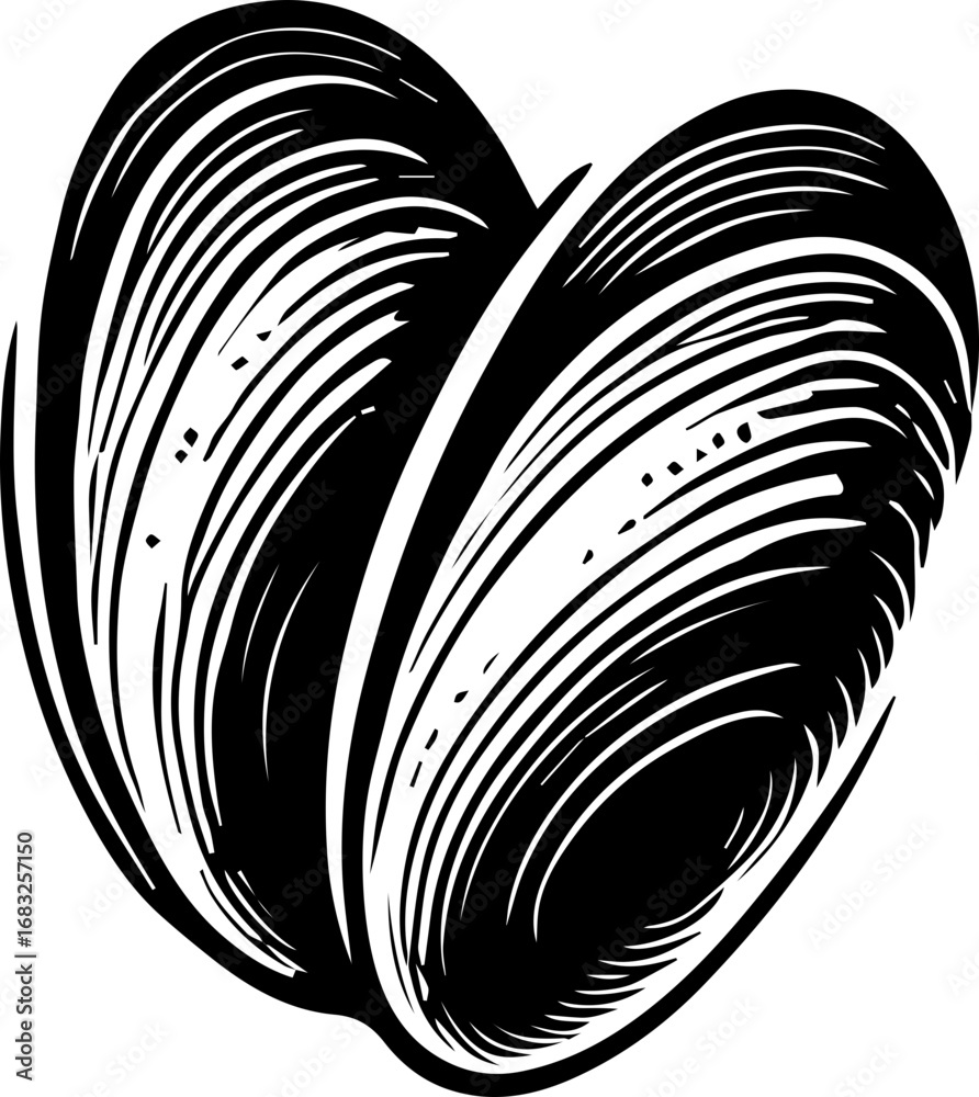 Illustration of two stylized mussels with detailed shell texture in ...
