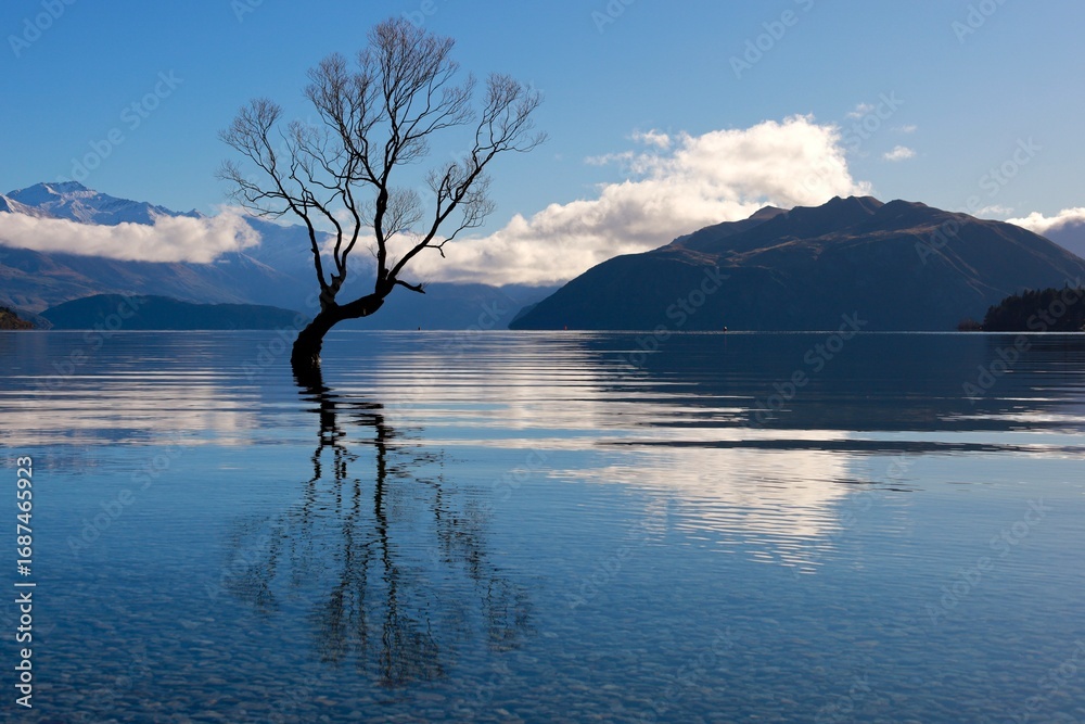 May 18, 2025: Iconic That Wanaka Tree in Lake Wanaka, South Island, New ...