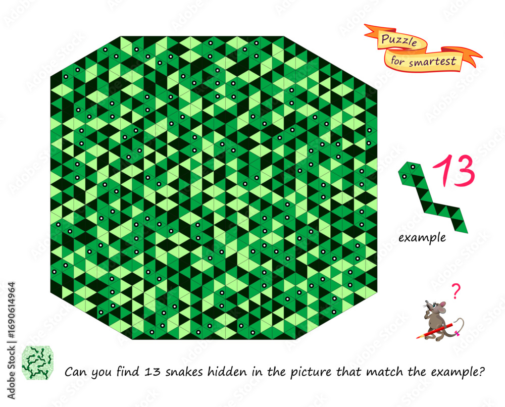 Snake puzzle. Can you find 13 snakes hidden in the picture that match ...