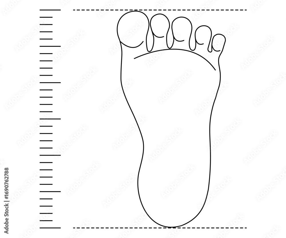 Foot size, shoe length measure. Footwear check. Footstep length and ...