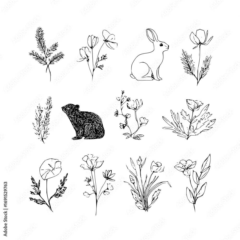 Stock-Vektorgrafik „Illustration showing a rabbit, a beaver, and ...