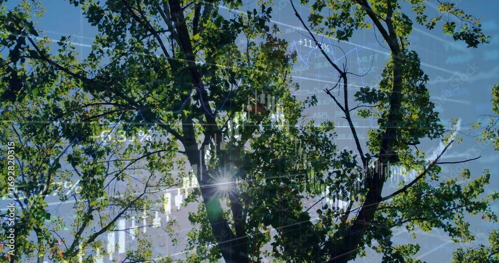 Deciduous tree blending with candlesticks and line graph overlays under ...
