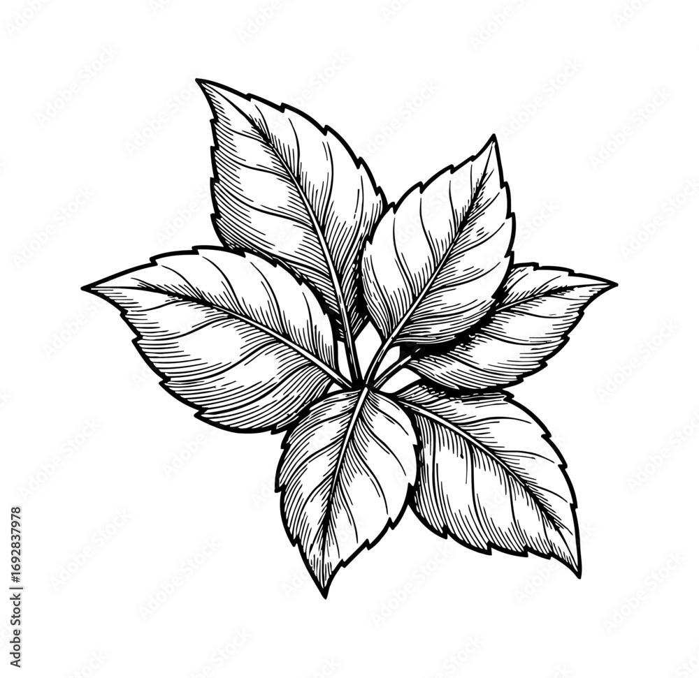 Simple black screen or background, for overlay and digital art work to ...
