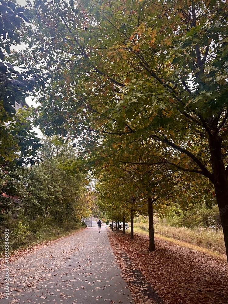 Atlanta beltline trail in autumn with colorful fall foliage and tree ...