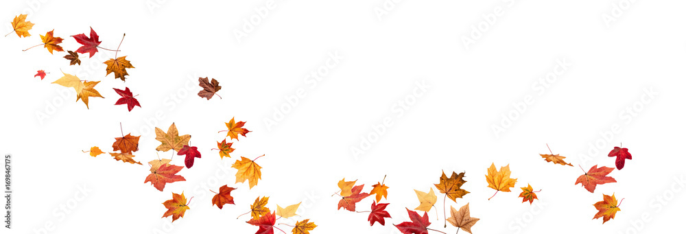 PNG Falling leaves, autumn foliage on transparent background, beautiful ...