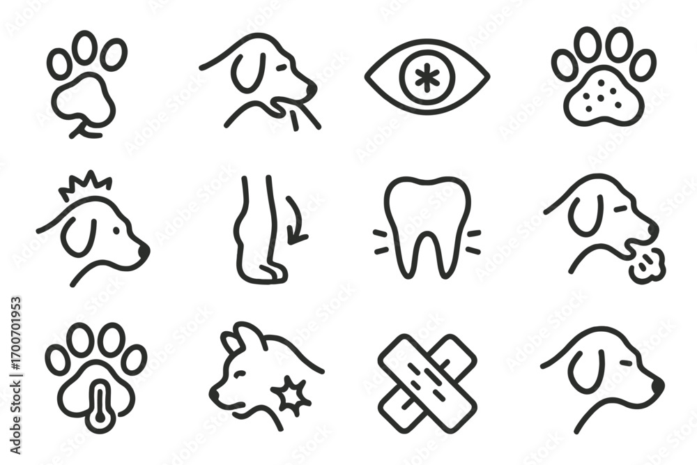 Pet Health Icons. Line style icons of pet medical conditions: limping ...