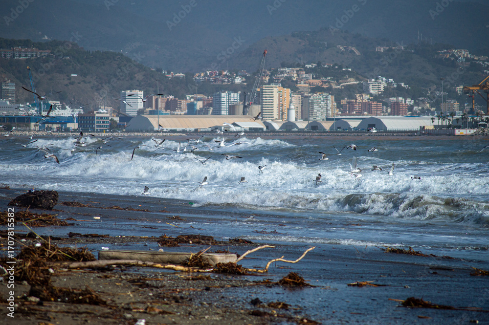 Coastal flooding and garbage caused by storm surge from DANA hurricane ...