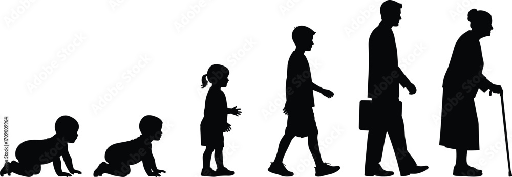 Human life stages silhouette, aging progression, childhood to elderly ...