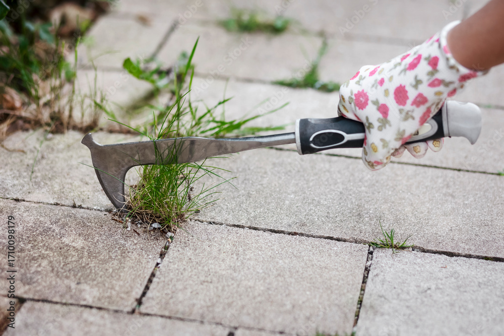 Remove Weeds From Paths. Removing Weeds in Paving Stone Joints with ...