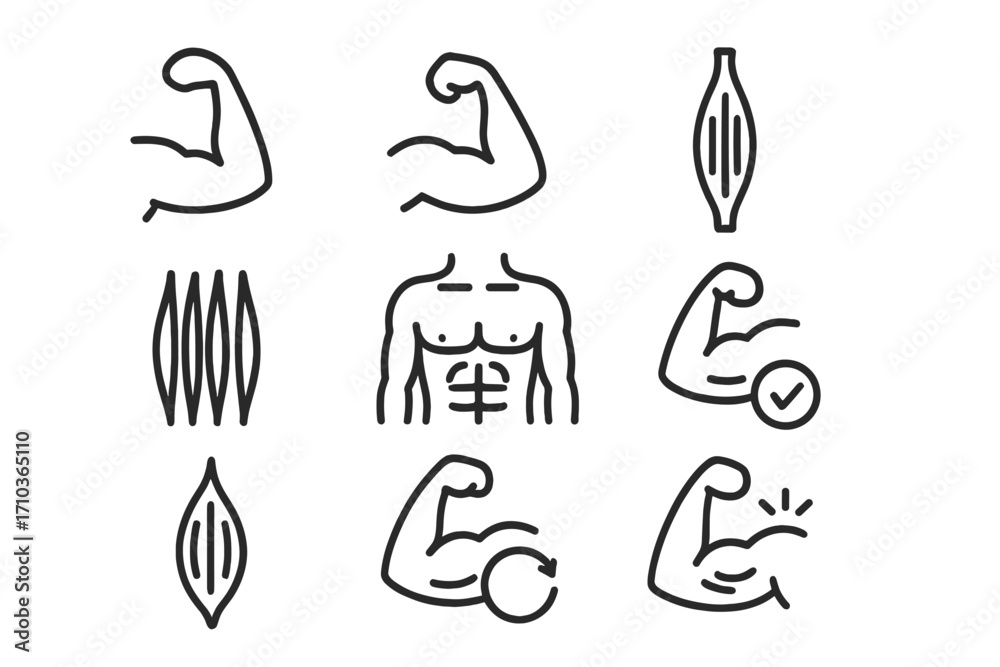 Muscle and strength simple line icon set. Bicep, arm, torso, and abs ...