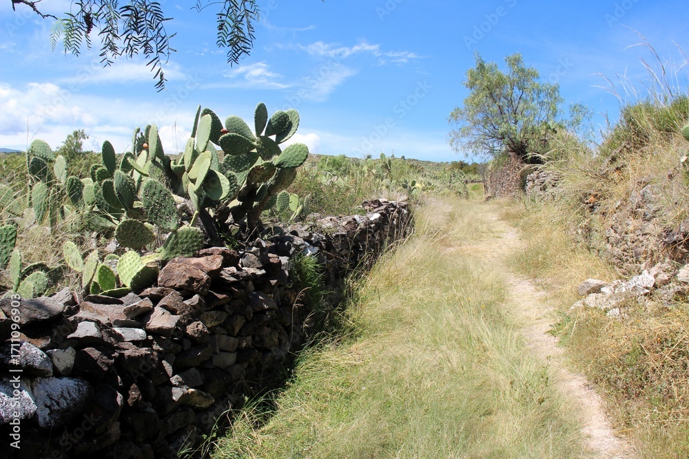 Wari Archaeological Zone, pre-Hispanic ruins at the old capital of the ...