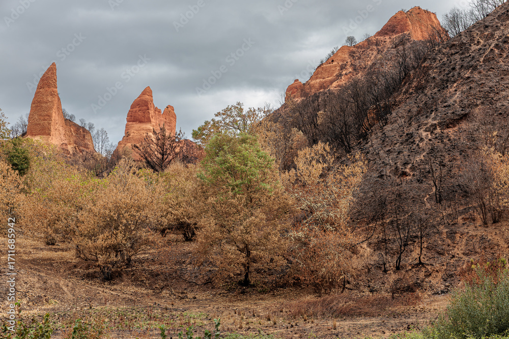 Burned vegetation and clay soil elevations in the Las Médulas Natural ...